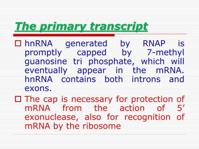 Lecture 5. Transcription.ppt | Chemistry | Science