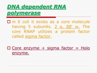 Lecture 5. Transcription.ppt