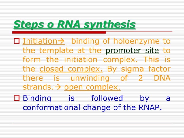 Lecture 5. Transcription.ppt | Chemistry | Science