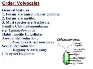 Lecture 5.pptx