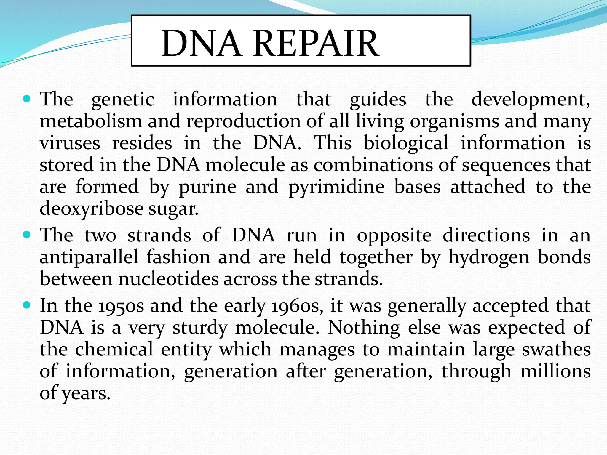 Dna repairing and types of dna repairing | PDF