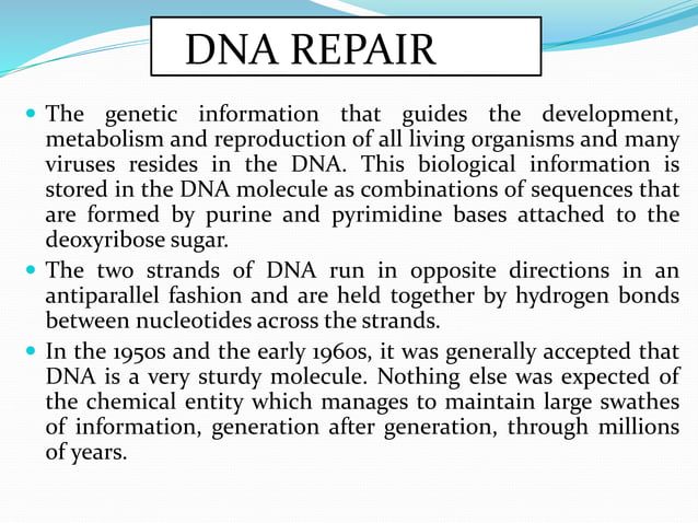 Dna repairing and types of dna repairing | PPT