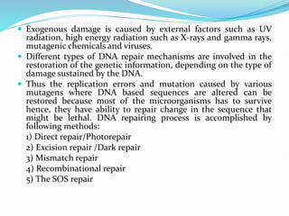 Dna repairing and types of dna repairing | PDF