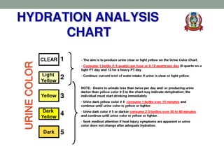 lecture of urine_analysis in physiology.ppt