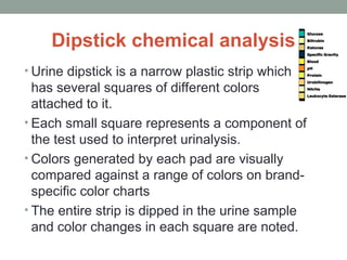 lecture of urine_analysis in physiology.ppt