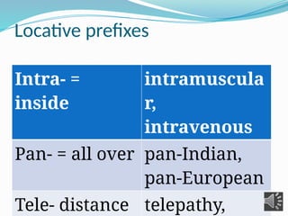 Lecture 5.pptx morphology prefix and suffix | PPT