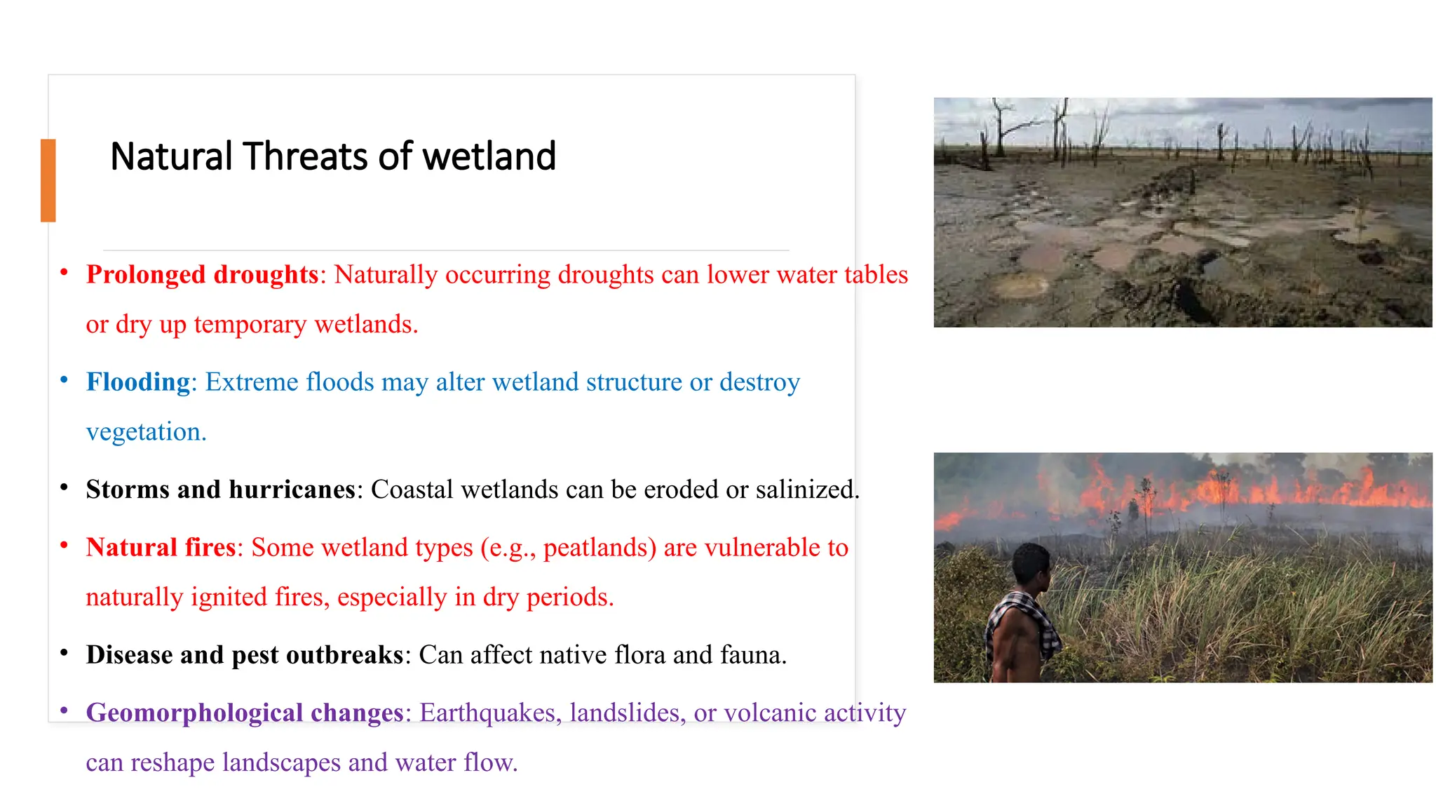 Wetlad Management, Key principles of wetland Management | PPT