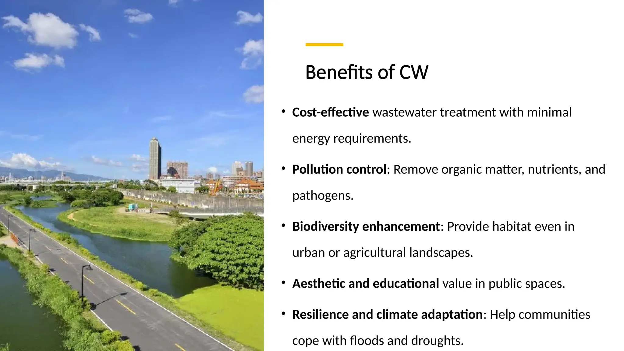 Wetlad Management, Key principles of wetland Management | PPT