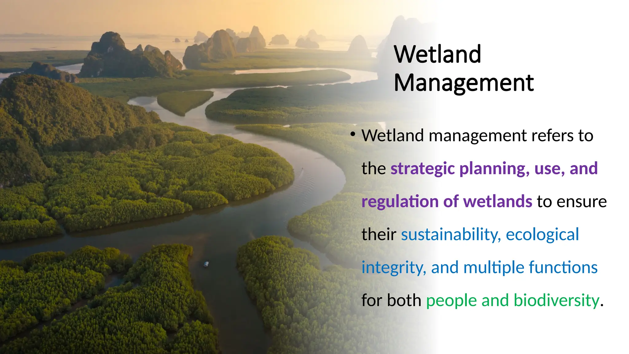 Wetlad Management, Key principles of wetland Management | PPT