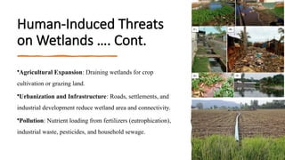 Wetlad Management, Key principles of wetland Management | PPT