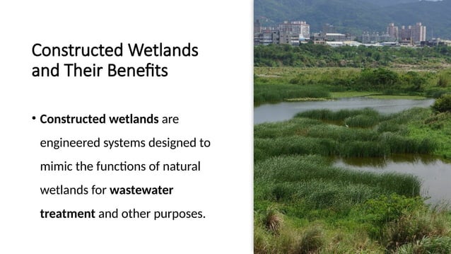 Wetlad Management, Key principles of wetland Management | PPT
