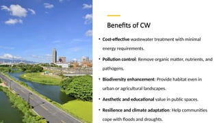 Wetlad Management, Key principles of wetland Management | PPT