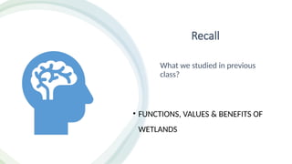 Wetlad Management, Key principles of wetland Management | PPTX