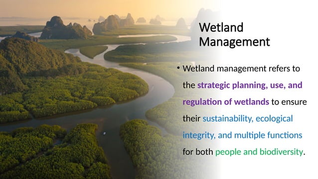 Wetlad Management, Key principles of wetland Management | PPT