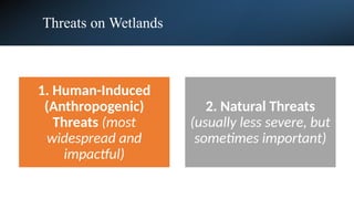 Wetlad Management, Key principles of wetland Management | PPTX