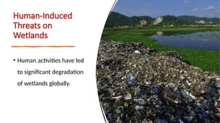 Wetlad Management, Key principles of wetland Management | PPT