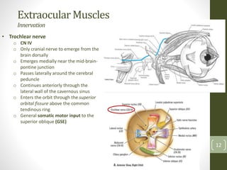 Lecture 5-B.pptx