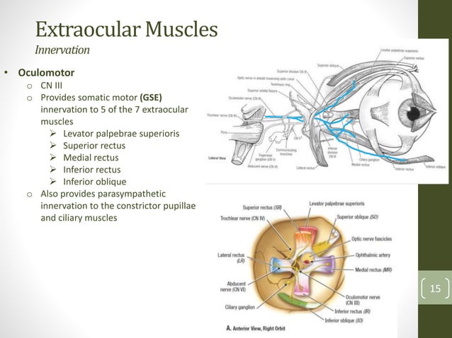 Lecture 5-B.pptx