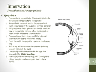 Lecture 5-B.pptx
