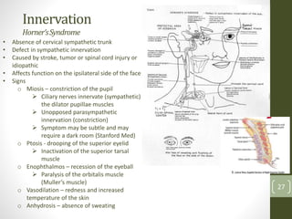 Lecture 5-B.pptx