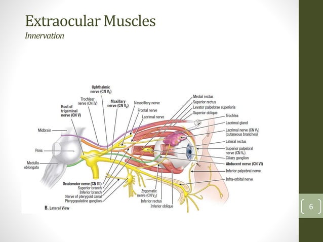 Lecture 5-B.pptx