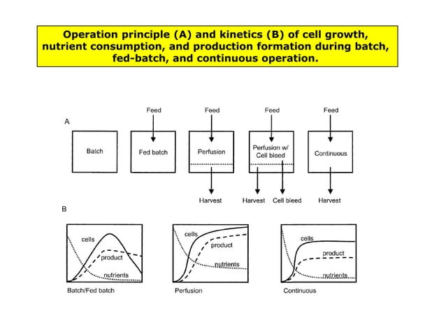 Lecture 5 bioprocess technology, operation mode and scale | PPTX ...