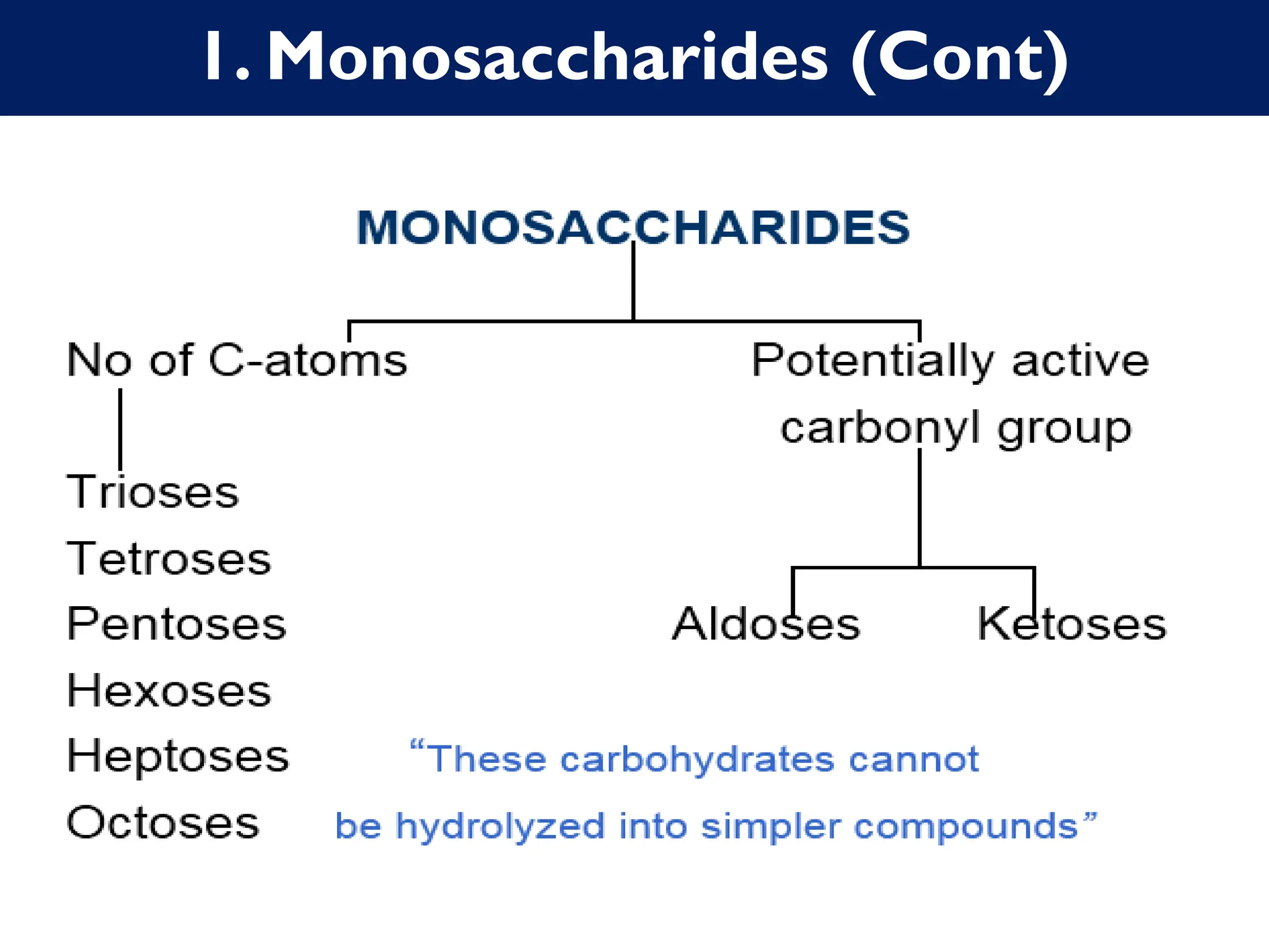 Lecture 5 - Carbohydrates 1 (1) introduction.pdf