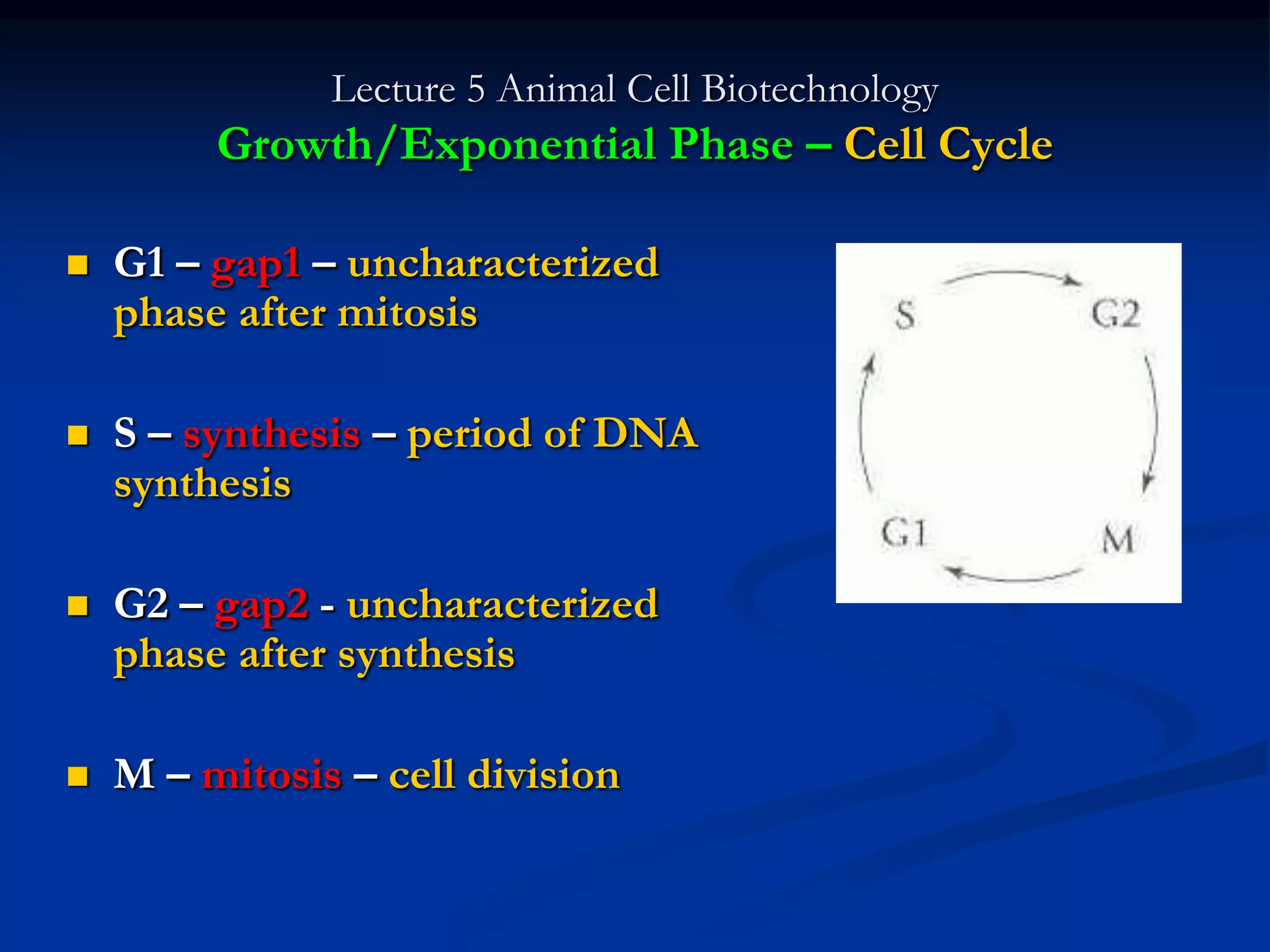 Lecture 5 cell growth phases | PPTX