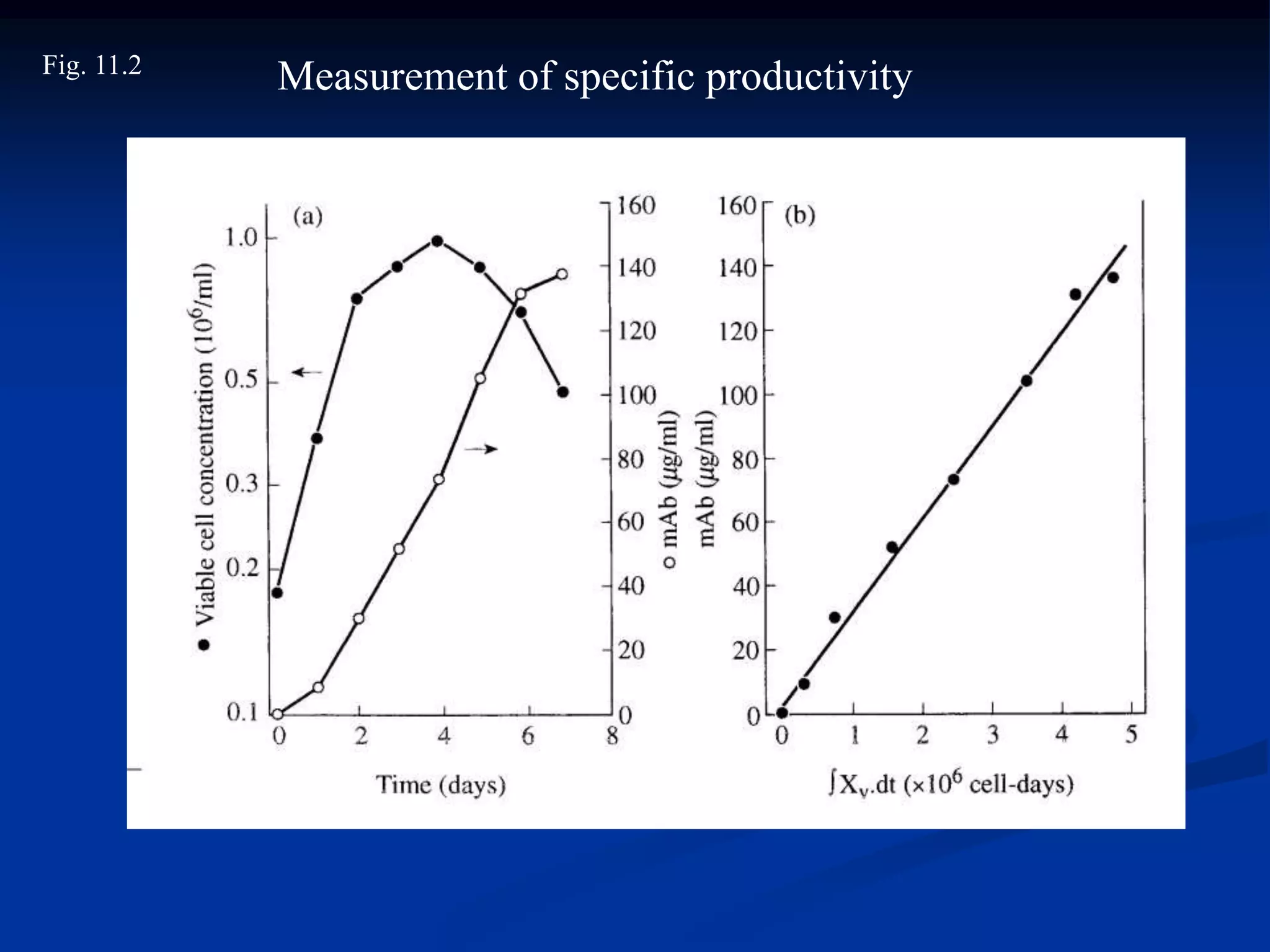 Lecture 5 cell growth phases | PPTX