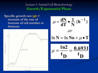 Lecture 5 cell growth phases | PPTX