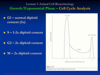 Lecture 5 cell growth phases | PPTX