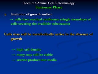 Lecture 5 cell growth phases | PPTX