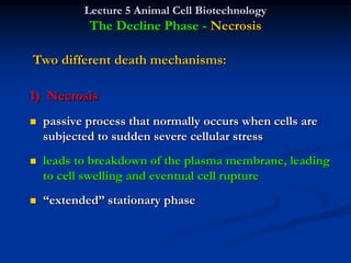 Lecture 5 cell growth phases | PPTX