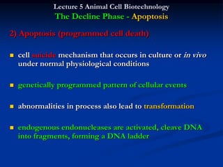 Lecture 5 cell growth phases | PPTX