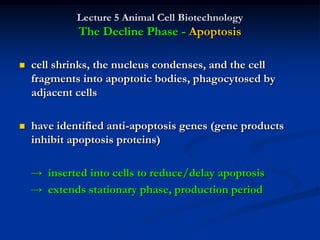 Lecture 5 cell growth phases | PPTX