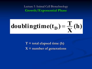 Lecture 5 cell growth phases | PPTX