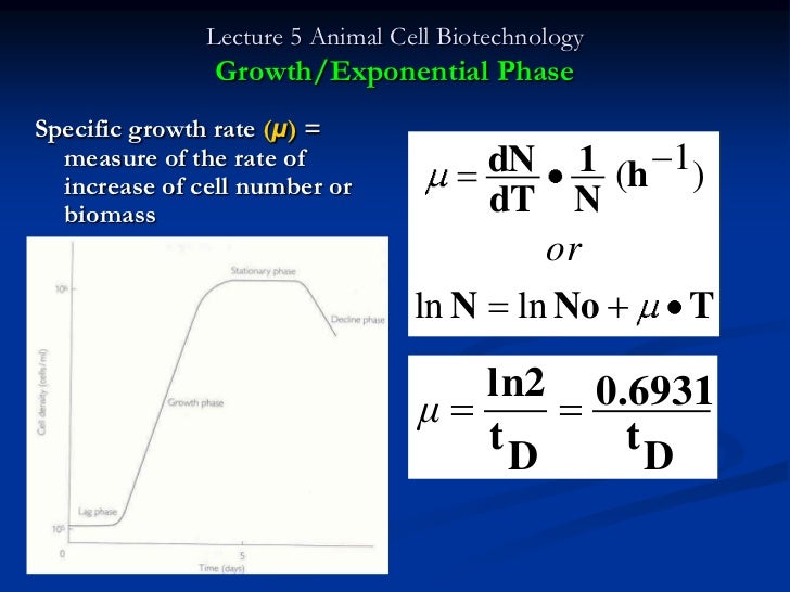 Lecture 5 cell growth phases