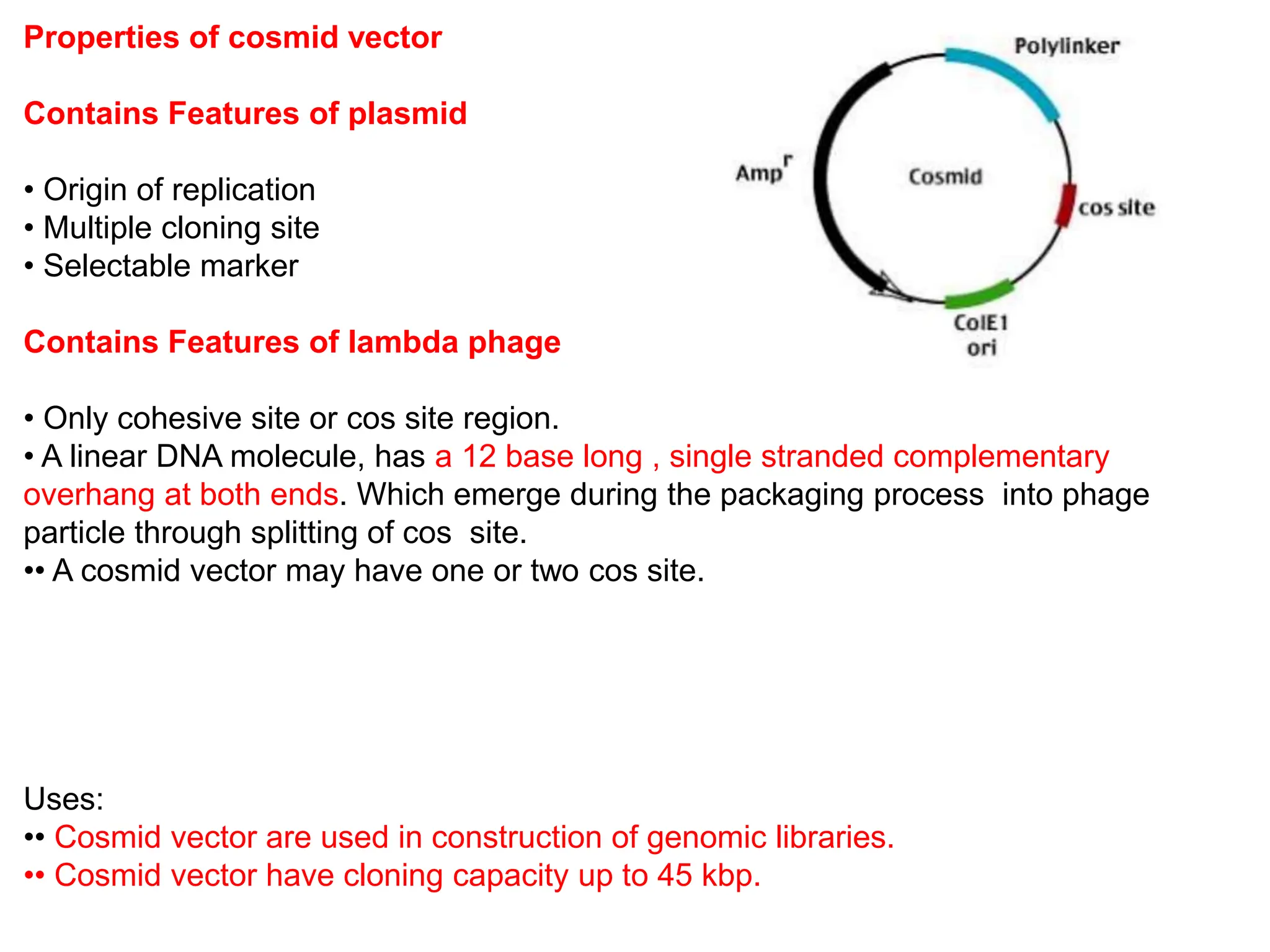 Cosmids vector | PPTX