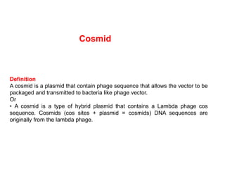 Cosmids vector | PPTX