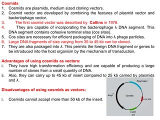 Cosmids vector | PPTX