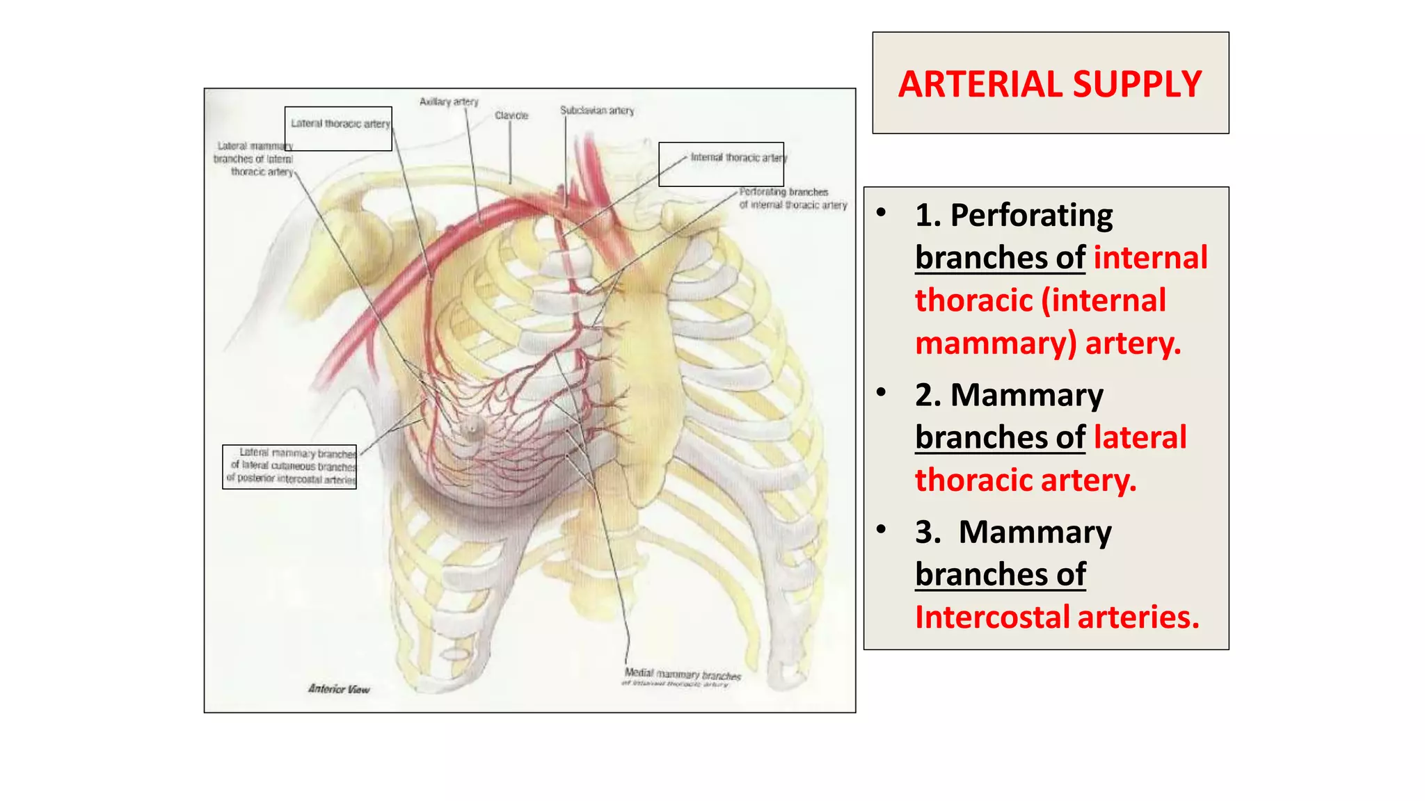 Lecture5 femalebreast-180321033233 | PPTX