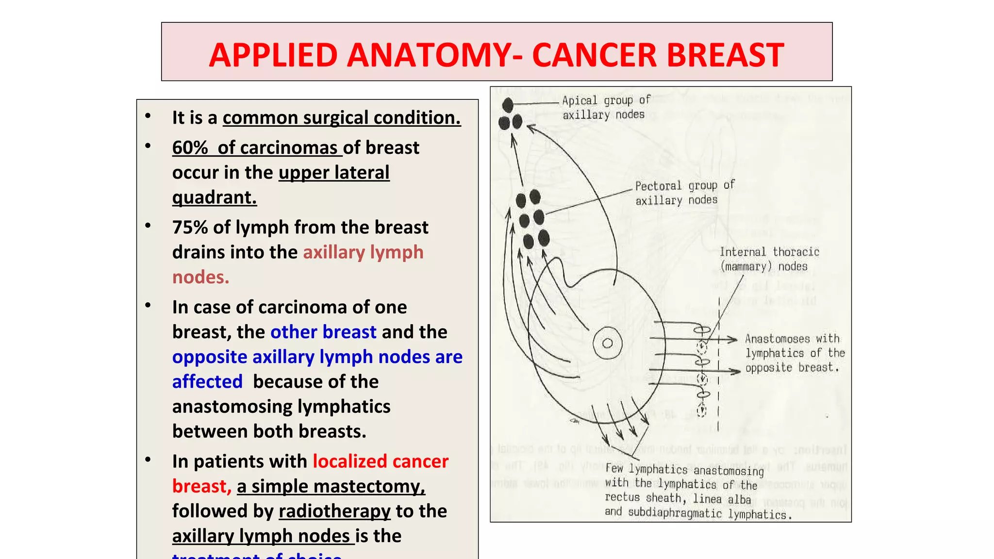 female breast anatomy and physiology | PPT