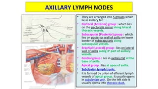 female breast anatomy and physiology | PPT