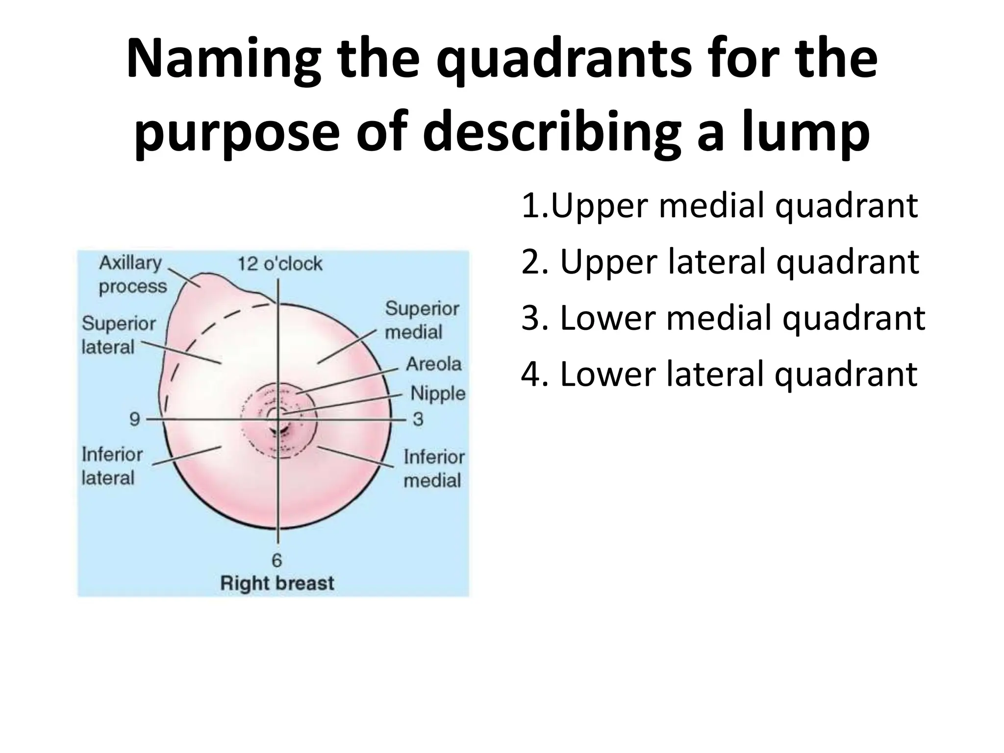 Lecture 5- FEMALE BREAST ANATOMY FOR NURSING STUDENT 2-1.ppt