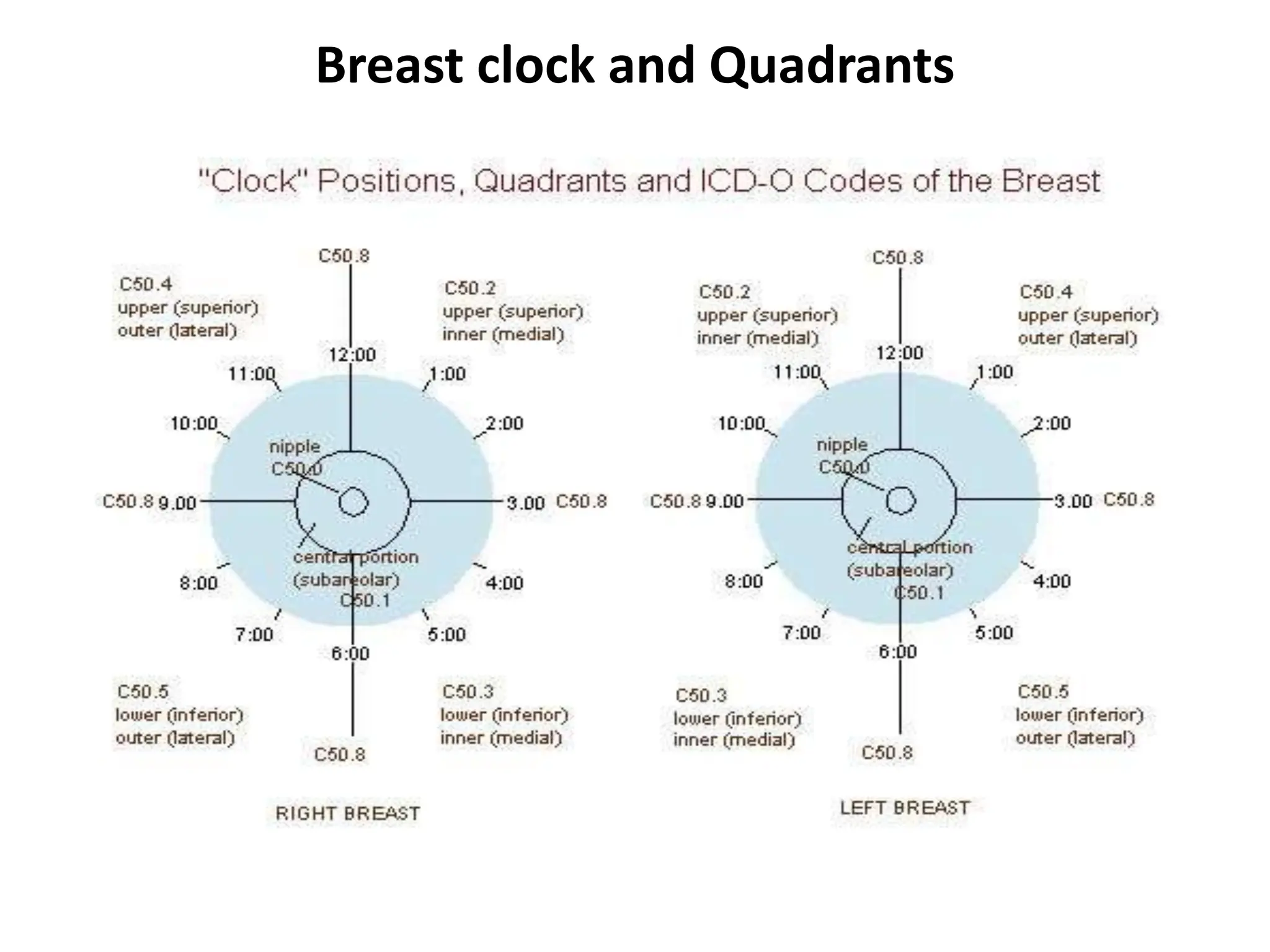 Lecture 5- FEMALE BREAST ANATOMY FOR NURSING STUDENT 2-1.ppt