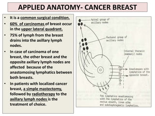 Lecture 5- FEMALE BREAST ANATOMY FOR NURSING STUDENT 2-1.ppt