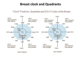 Lecture 5- FEMALE BREAST ANATOMY FOR NURSING STUDENT 2-1.ppt