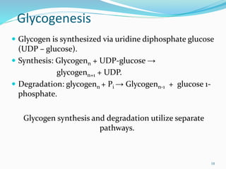 Lecture 5-glycogen metaboli.......sm.pdf