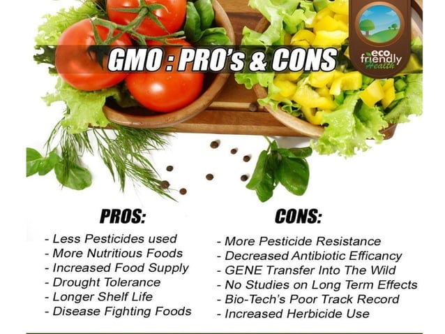 Lecture 5- GMOs - 011022024.pptx......... | PPT