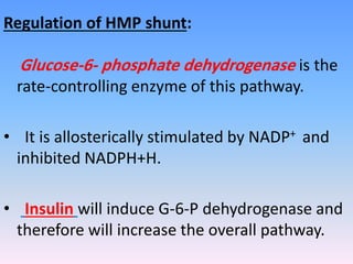 Lecture 5 -HMP. pdf | PDF